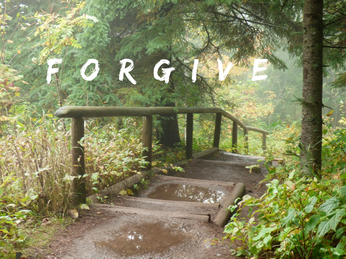 Separating the Sin From the Sinner – Forgiveness is For You – WOVEN In ...
